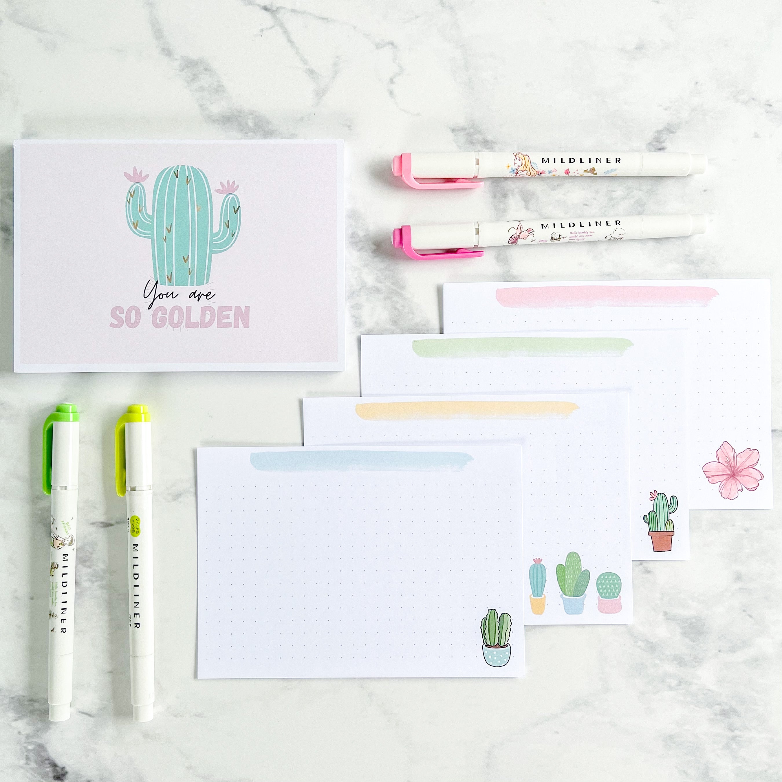 Flash cards cactus – AmaPapelería